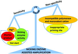 Technical aspects of nicking enzyme assisted amplification - Analyst ...
