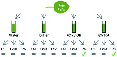 A comparison of colorimetric assays detecting hydrogen peroxide in leaf ...