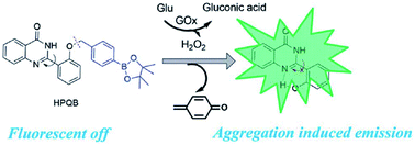 A novel fluorescent probe based on ESIPT and AIE processes for the detection of hydrogen ...