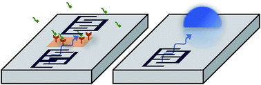 Surface acoustic wave devices for chemical sensing and microfluidics: a ...