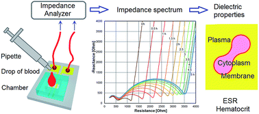 Electrochemical impedance spectroscopy of blood for sensitive detection ...