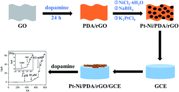 A high-performance electrochemical dopamine sensor based on a platinum–nickel bimetallic ...