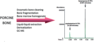 Using porcine bone marrow to analyze fenproporex and its metabolite ...