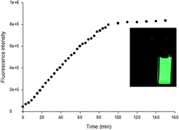 A novel two-photon fluorescent probe for the selective detection of ...