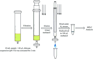In-syringe chitosan-assisted dispersive micro-solid phase extraction ...
