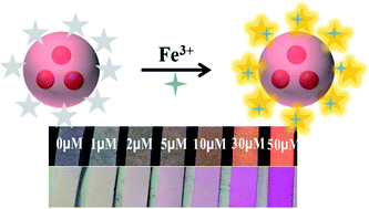 Visual determination of ferric ions in aqueous solution based on a high ...