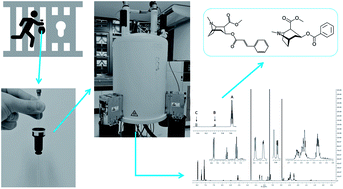 An external reference 1H qNMR method (PULCON) for characterization of ...