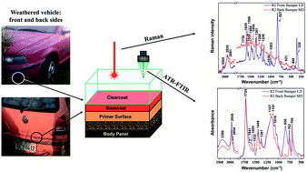 Infrared and Raman spectroscopy of automotive paints for forensic identification of natural ...