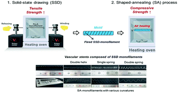 Biodegradable vascular stents with high tensile and compressive ...