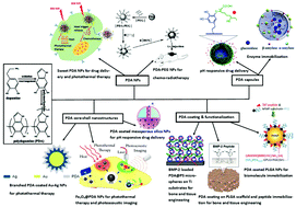 Recent progress in the biomedical applications of polydopamine ...