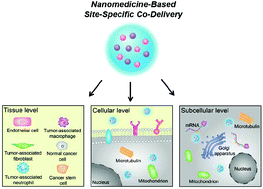 Combination Therapy Cancer Research Institute