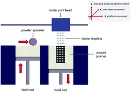 3D printed porous ceramic scaffolds for bone tissue engineering: a ...