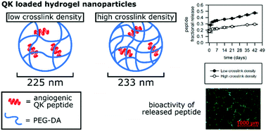 Design and characterization of hydrogel nanoparticles with tunable ...