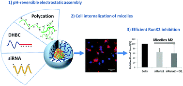 Tripartite polyionic complex (PIC) micelles as non-viral vectors for ...