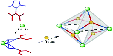 Programmable self-assembly of water-soluble organo-heterometallic cages ...