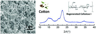 Regenerated cellulose I from LiCl·DMAc solution - Chemical ...