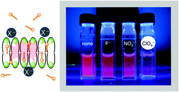 Luminescence sensing of weakly-hydrated anions in aqueous solution by ...