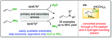 Direct use of allylic alcohols and allylic amines in palladium ...