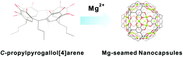 Self-assembly of magnesium-seamed hexameric pyrogallol[4]arene ...