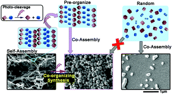 Co-organizing synthesis of heterogeneous nanostructures through the ...