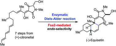 Chemo-enzymatic synthesis of equisetin - Chemical Communications (RSC ...