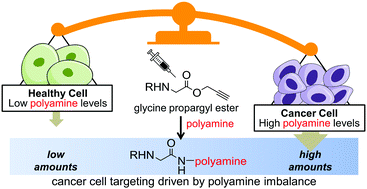 Cancer cell targeting driven by selective polyamine reactivity with ...