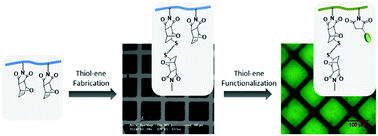 Orthogonal thiol–ene ‘click’ reactions: a powerful combination for ...