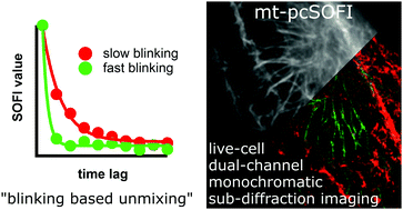 Live-cell monochromatic dual-label sub-diffraction microscopy by mt ...