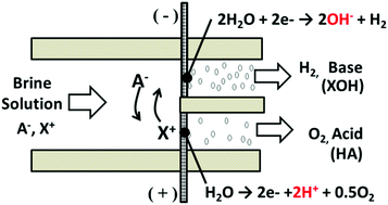 Membraneless electrolyzers for the simultaneous production of acid and ...