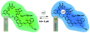 Ca-NIR: a ratiometric near-infrared calcium probe based on a ...