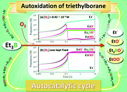 An autocatalytic cycle in autoxidation of triethylborane - Chemical ...