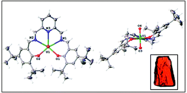 An example of unusual pyridine donor Schiff base uranyl (UO22 ...