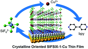 A highly crystalline oriented metal–organic framework thin film with an ...