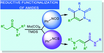 Facile preparation of pyrimidinediones and thioacrylamides via ...