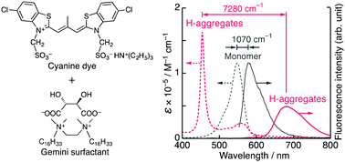 Fluorescence emission originated from the H-aggregated cyanine dye with ...