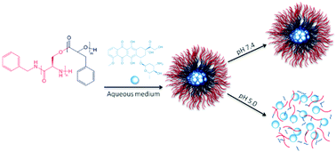 Poly(amino acid)-polyester graft copolymer nanoparticles for the acid ...