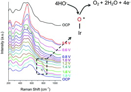 The active site for the water oxidising anodic iridium oxide probed ...