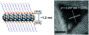 Seed-mediated growth of ultra-thin triangular magnetite nanoplates ...