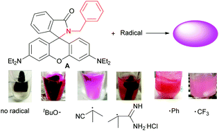 Development of an indicator for the direct visualization of radical ...