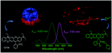 A unique rectilinearly π-extended rhodamine dye with large Stokes shift ...