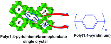 Simultaneous crystallization of an in situ formed conjugated polymer ...
