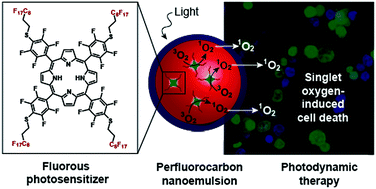 Fluorous photosensitizers enhance photodynamic therapy with ...