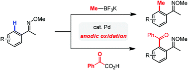 Palladium-catalyzed C–H activation/C–C cross-coupling reactions via ...