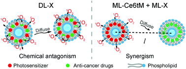 Chemical antagonism between photodynamic agents and chemotherapeutics ...
