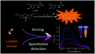 A new approach for turn-on fluorescence sensing of l-DOPA - Chemical Communications (RSC Publishing)