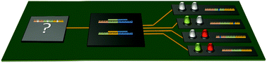 A domain-based DNA circuit for smart single-nucleotide variant ...