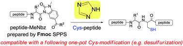 1,2,4-Triazole-aided native chemical ligation between peptide-N-acyl-N ...
