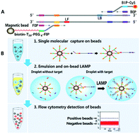 Beaming Pcr