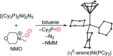 Versatile (η6-arene)Ni(PCy3) nickel monophosphine precursors - Chemical ...