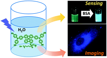 A highly fluorescent water soluble spirobifluorene dye with a large ...
